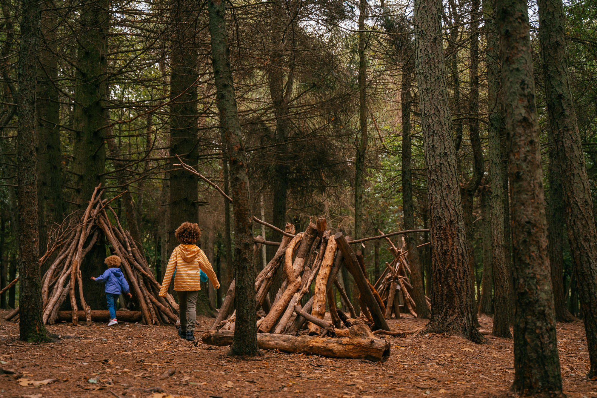 School visits to Cardinham Woods | Forestry England