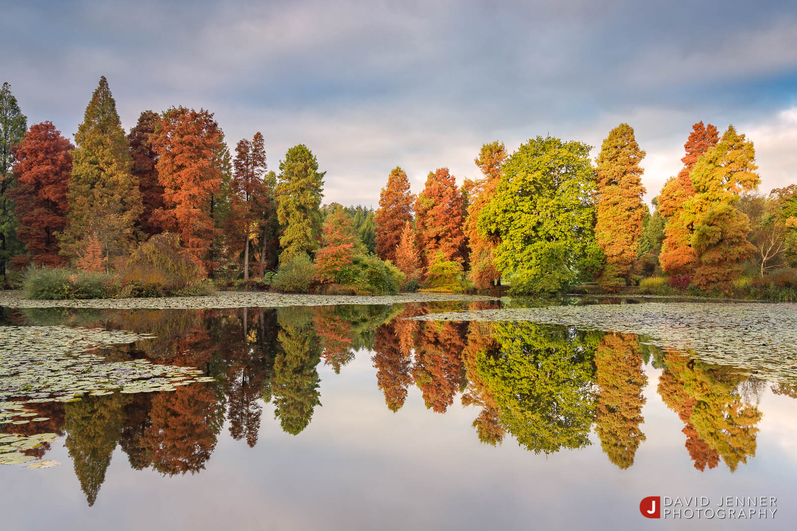 Bedgebury National Pinetum achieves top level Arboretum Accreditation ...