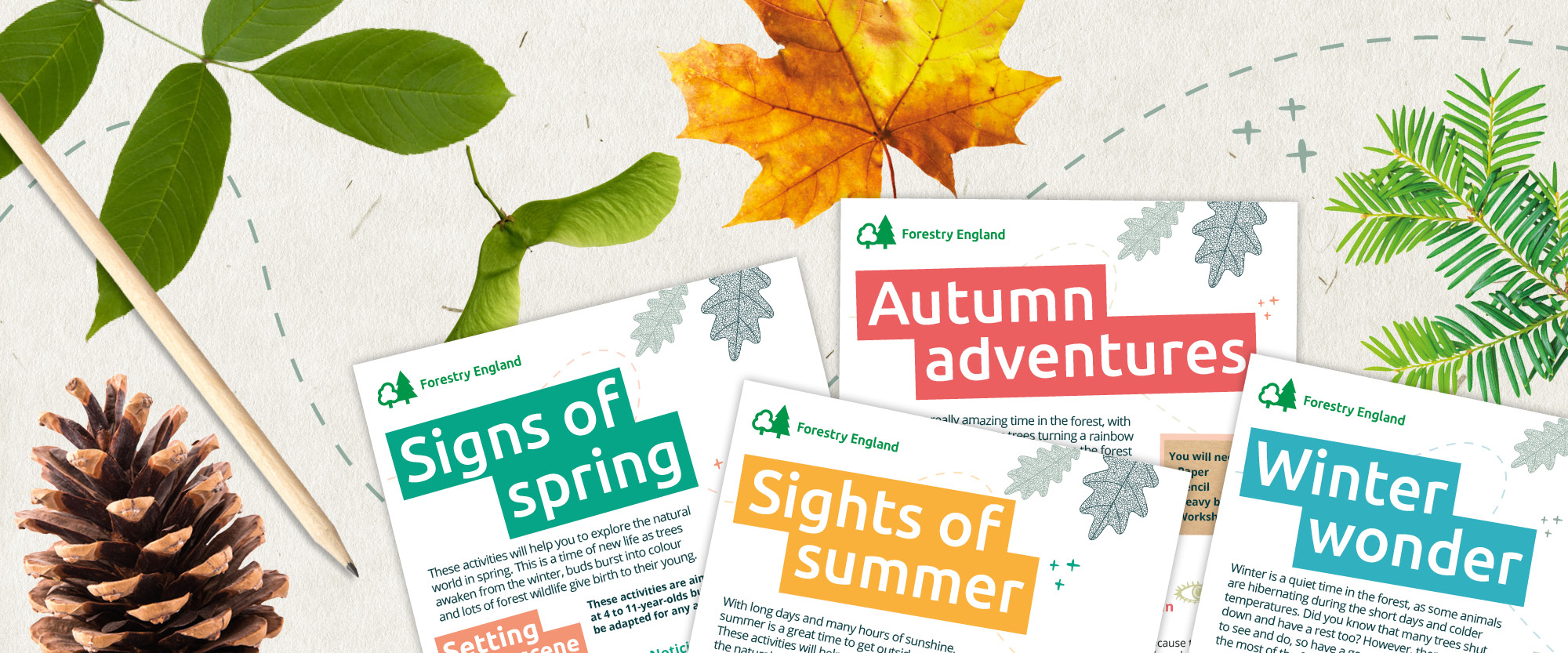 Seasonal activity sheets | Forestry England