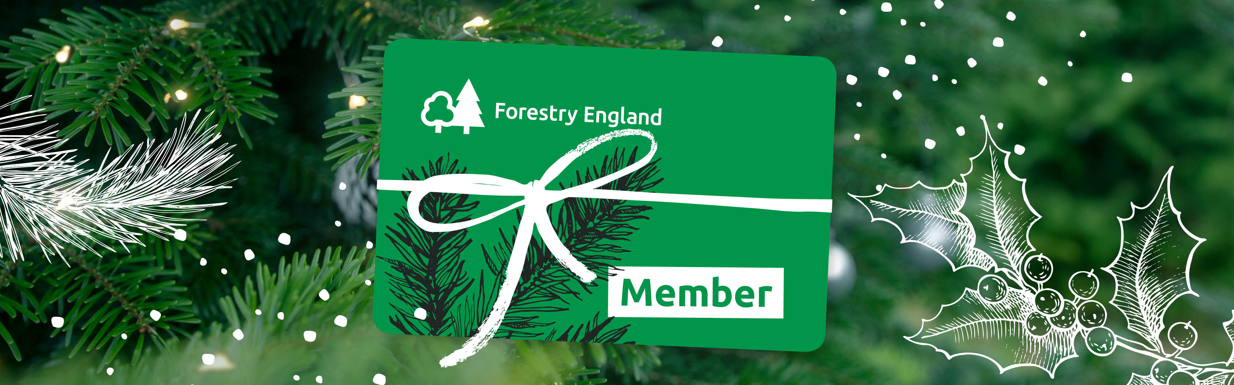 Gift membership - A perfect present that lasts all year | Forestry England