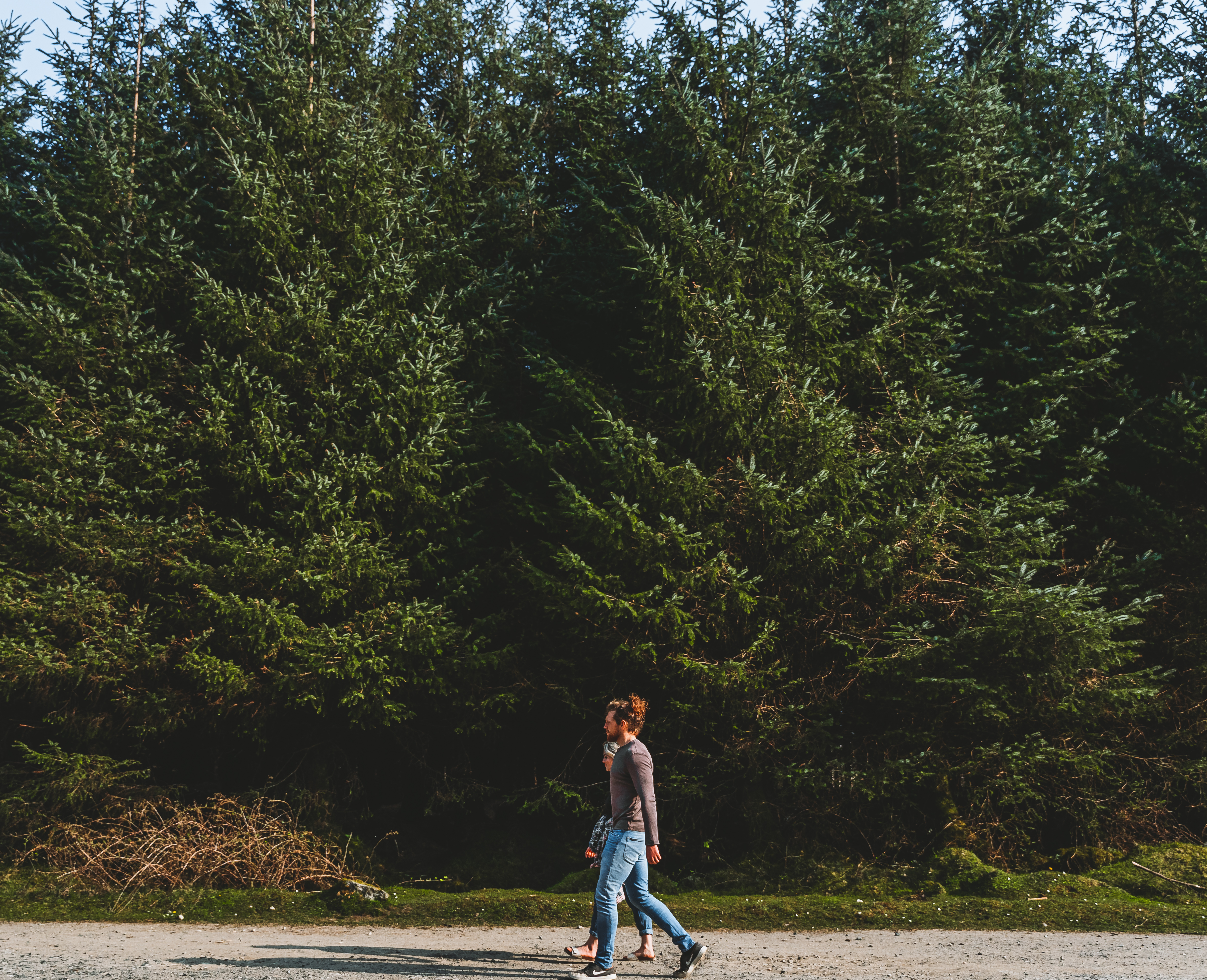 Hicks Lodge Trail | Forestry England