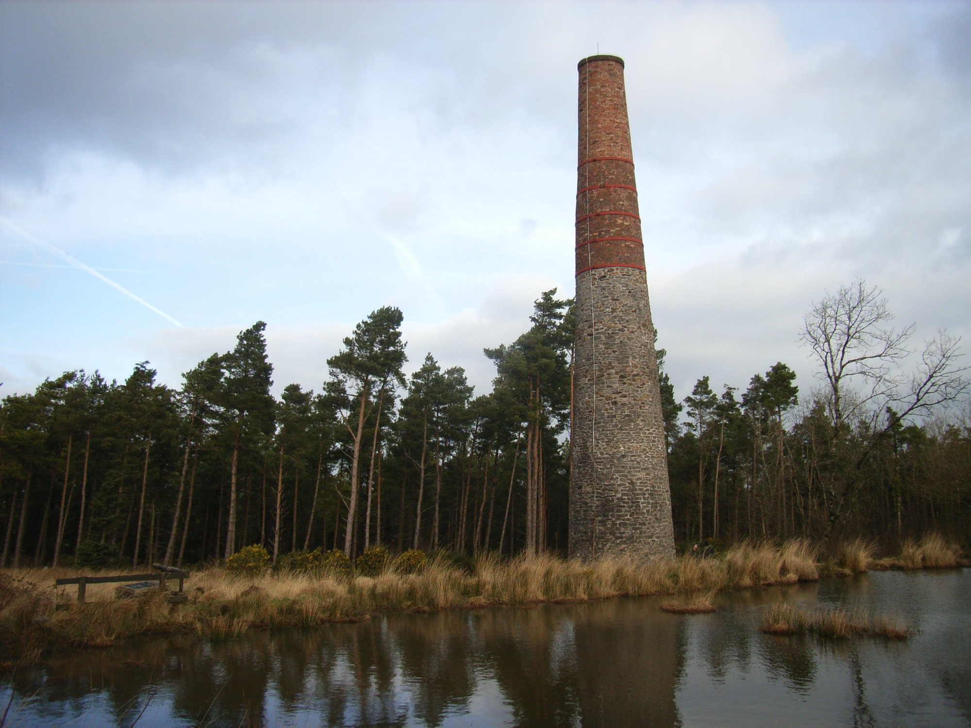 East Harptree | Forestry England