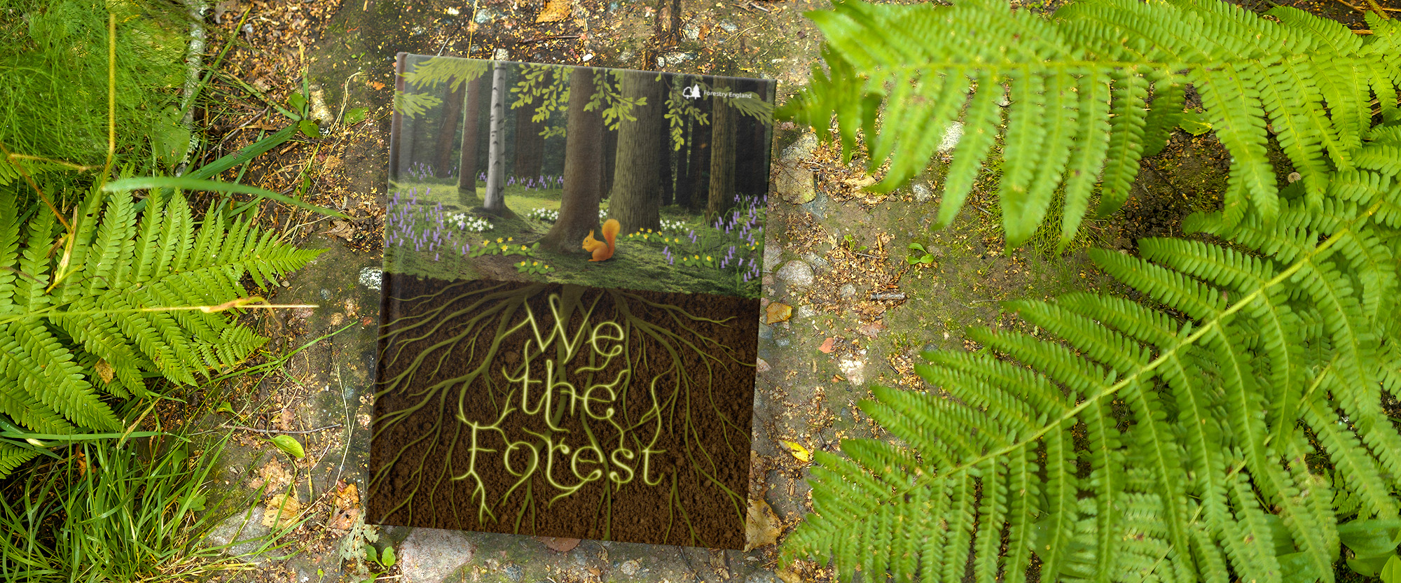 We the Forest | Books | Forestry England