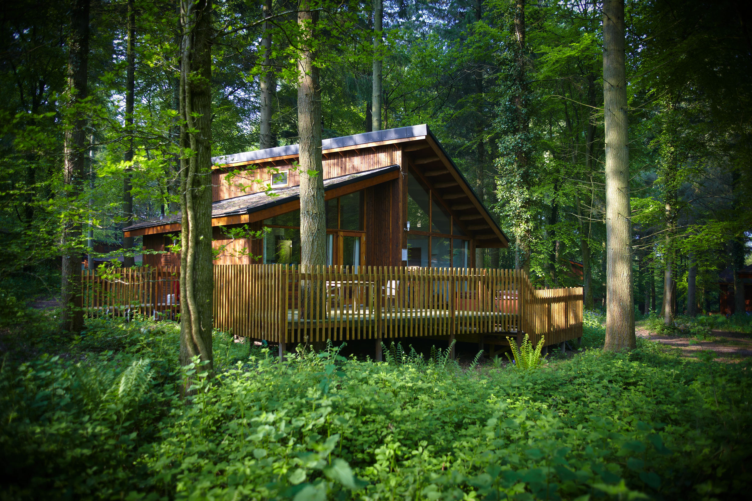 Forest Holidays at the Forest of Dean | Forestry England