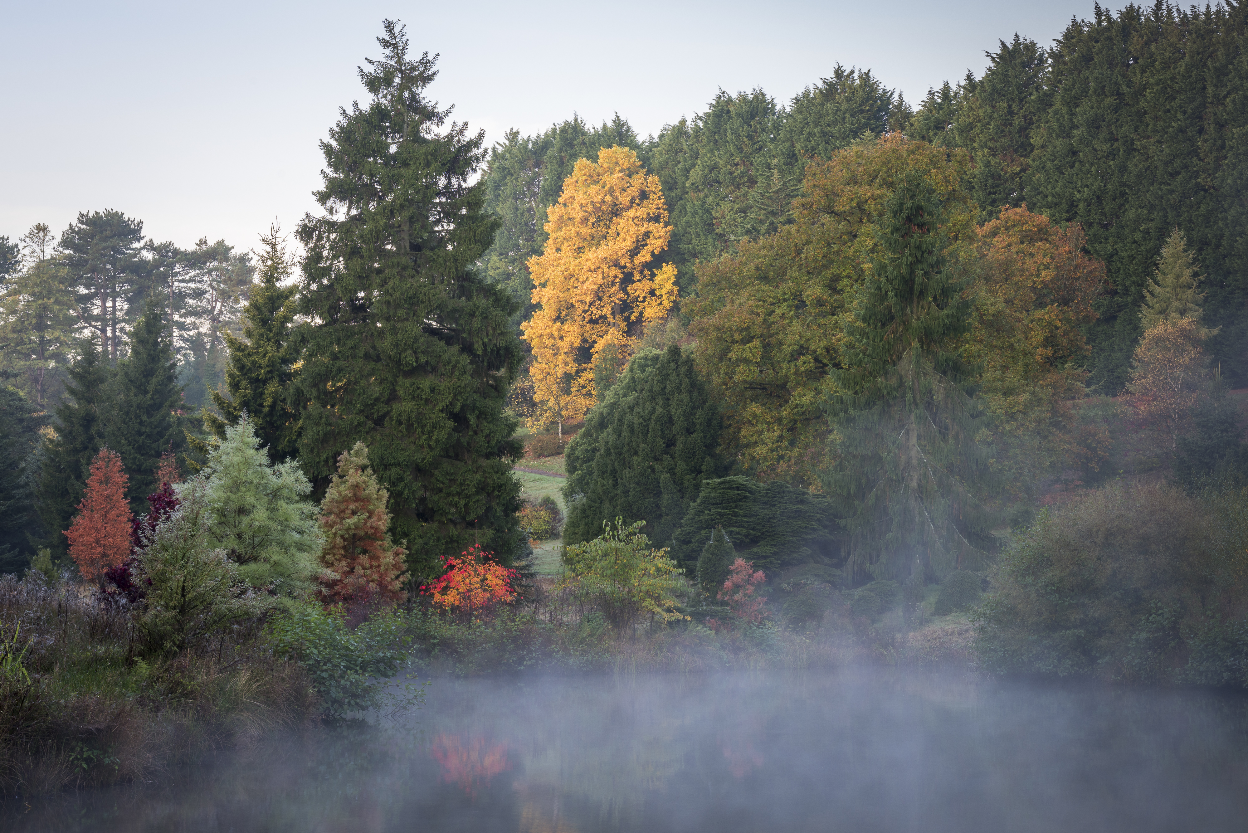 Capture autumn’s beauty in England’s most photogenic forests | Forestry ...