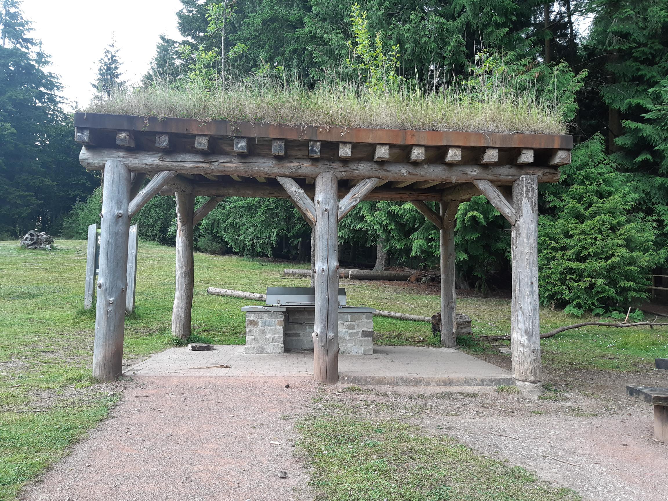 Beechenhurst | Forestry England