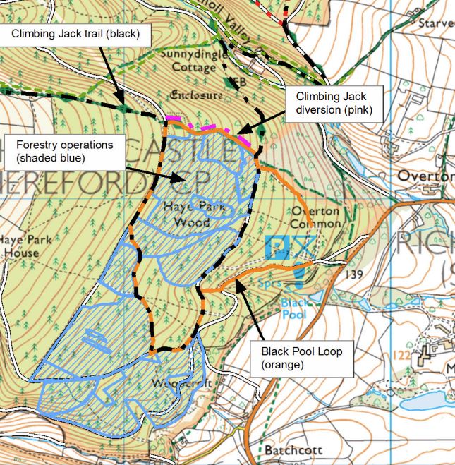 Forest operations at Mortimer Forest | Forestry England