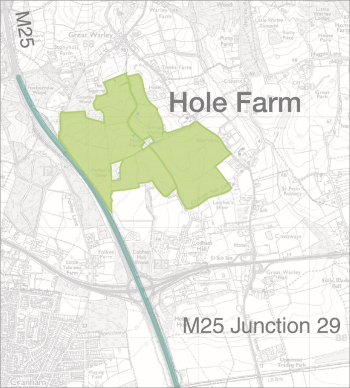 Hole Farm | Forestry England
