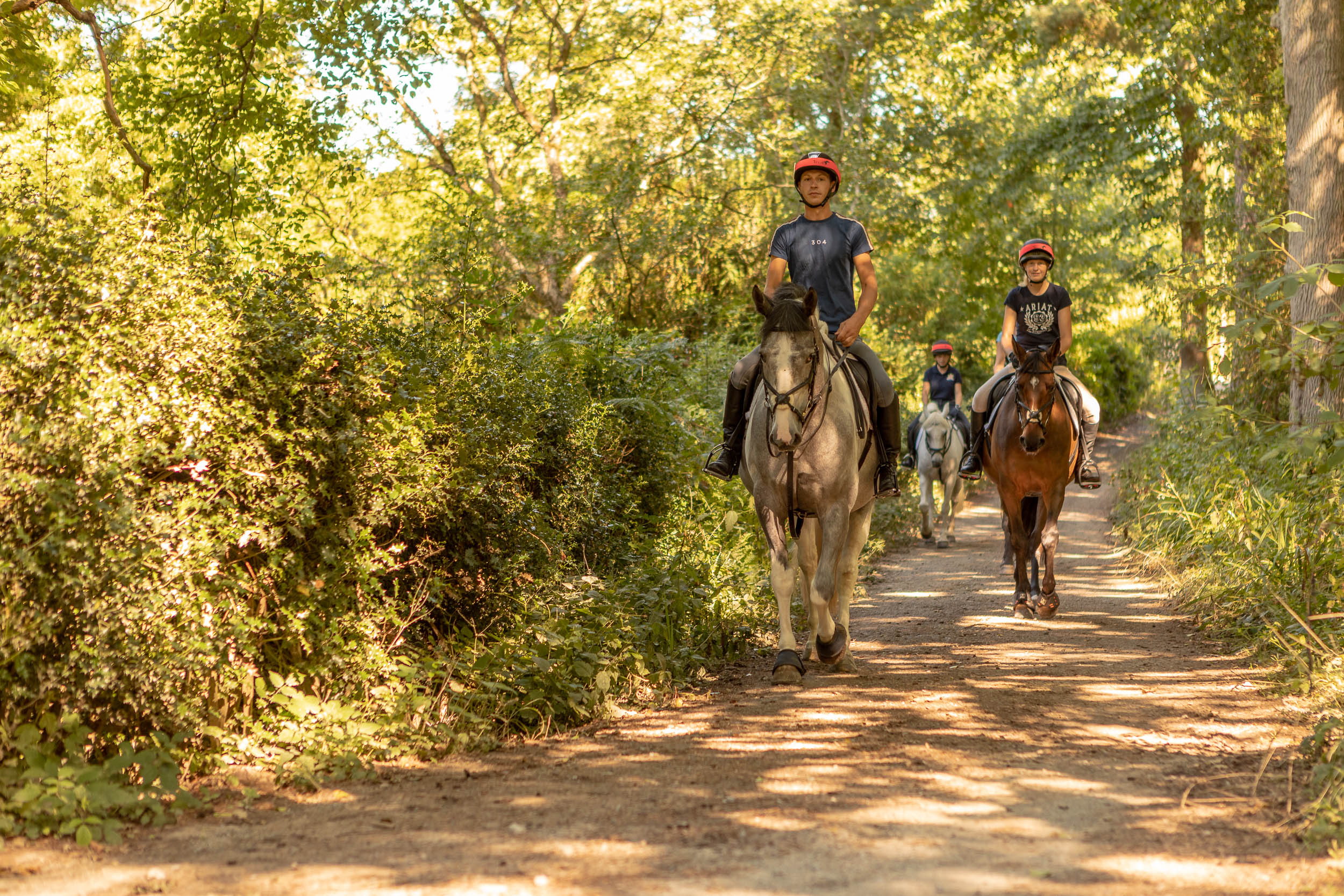 Horse Riding at Delamere Forest | Forestry England