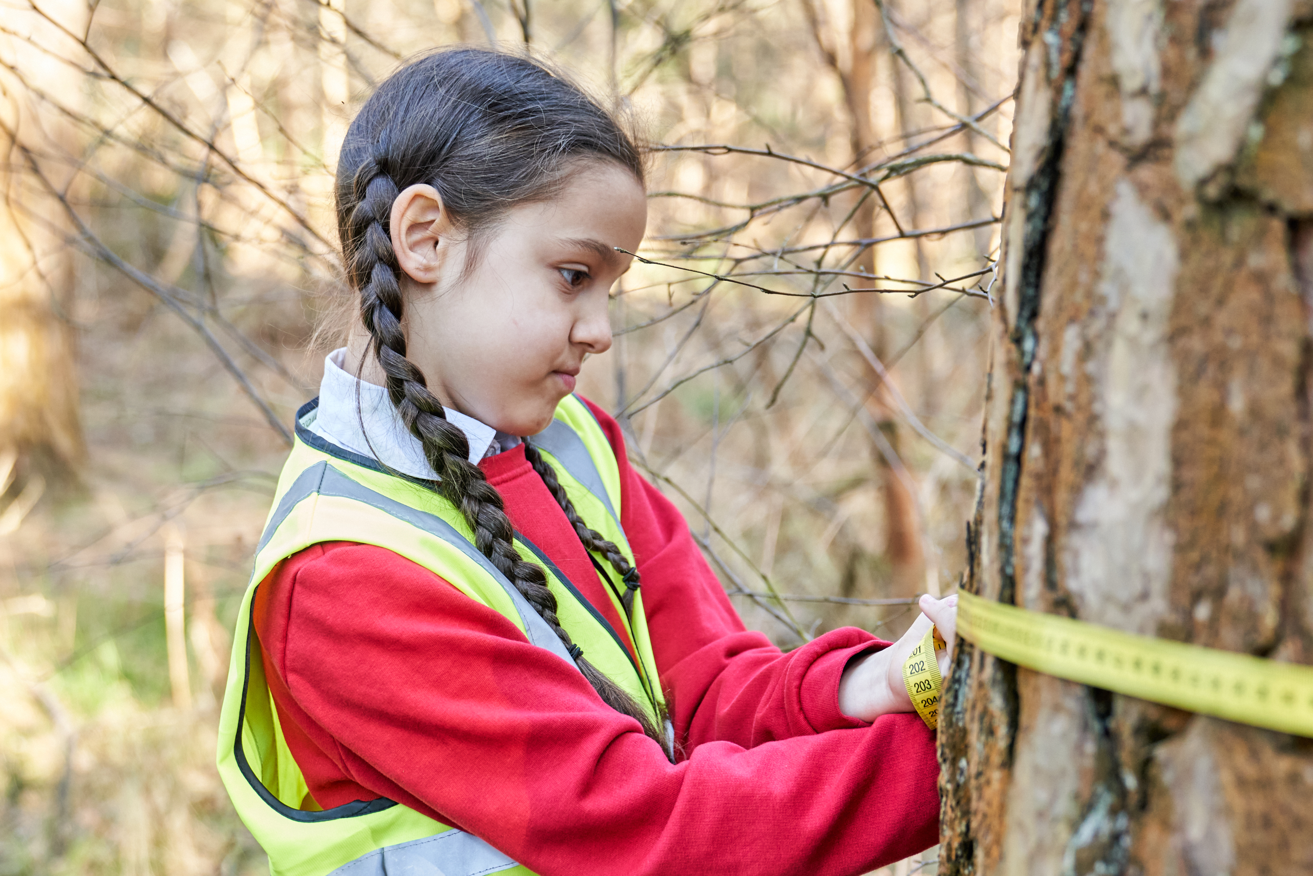 How to use fieldwork with your class | Forestry England