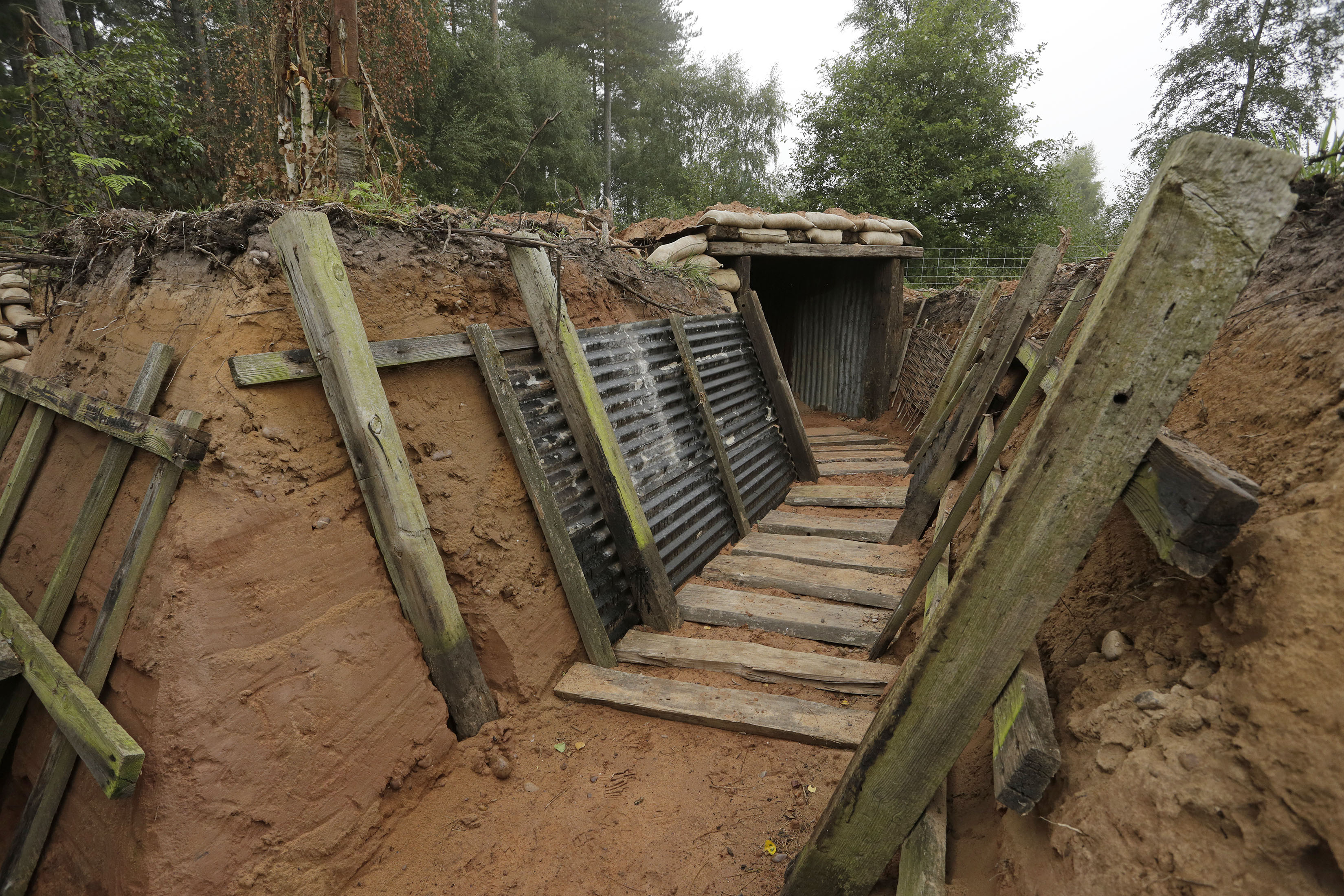 Trenches at Sherwood Pines | Forestry England