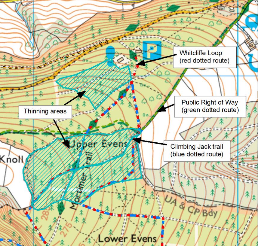 Forest operations at Mortimer Forest | Forestry England