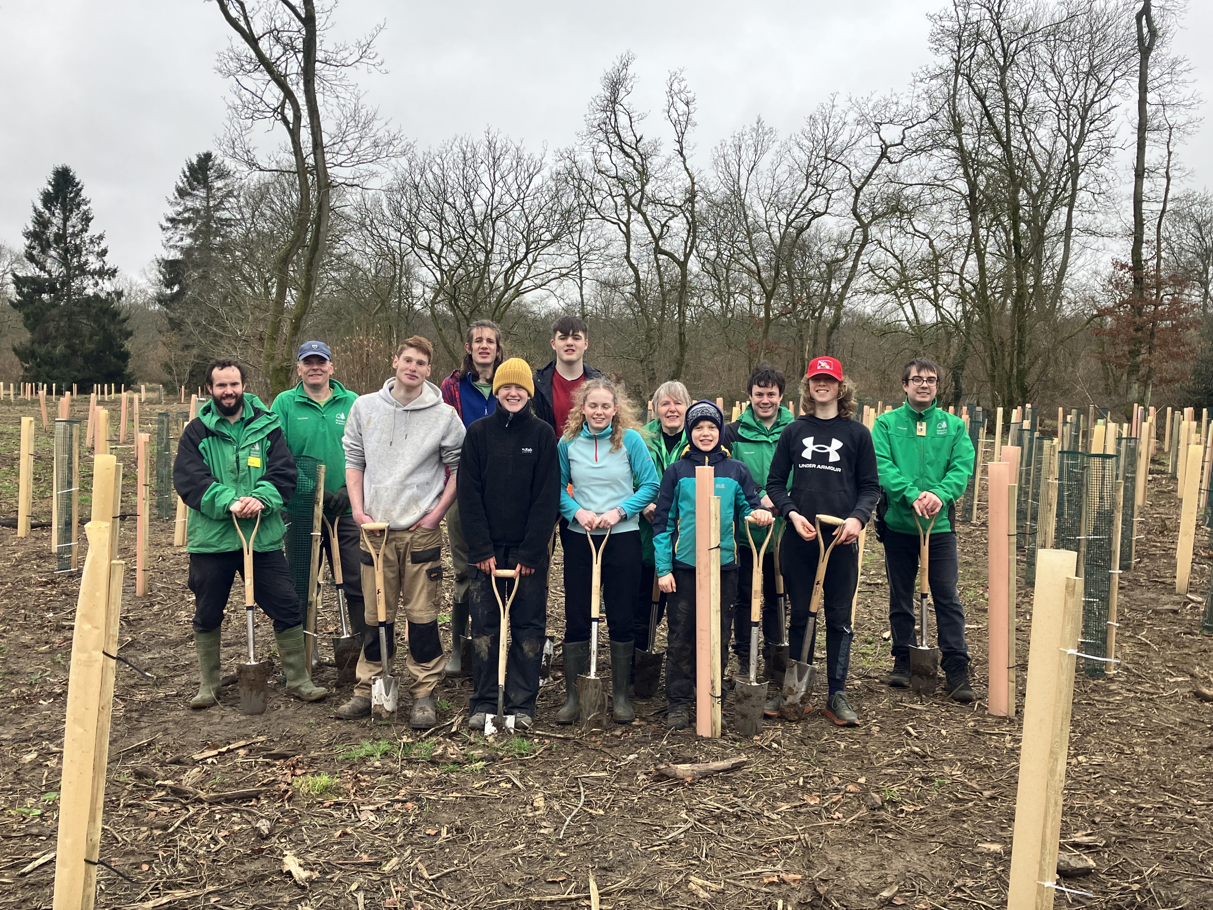 Silk Wood Community Planting Project | Forestry England