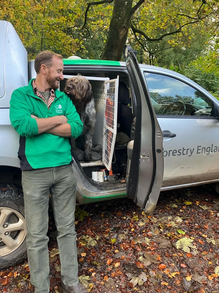 Becoming a wildlife ranger | Careers | Forestry England