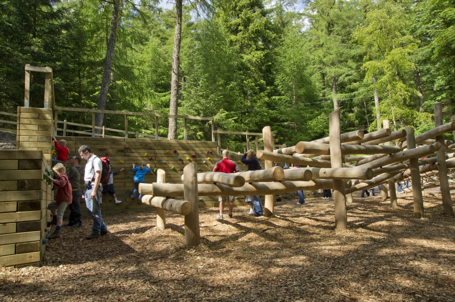 WildPlay trail at Whinlatter | Forestry England