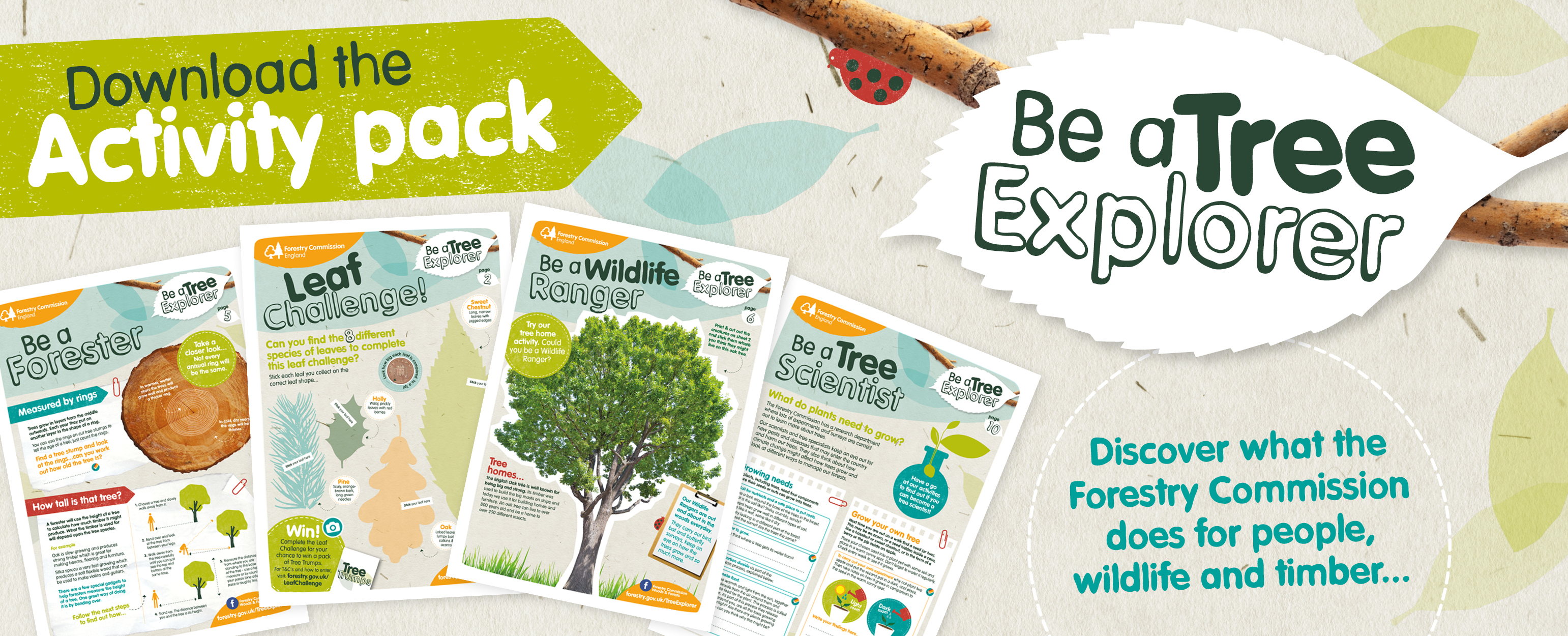 Tree Explorer Activity Pack | Forestry England