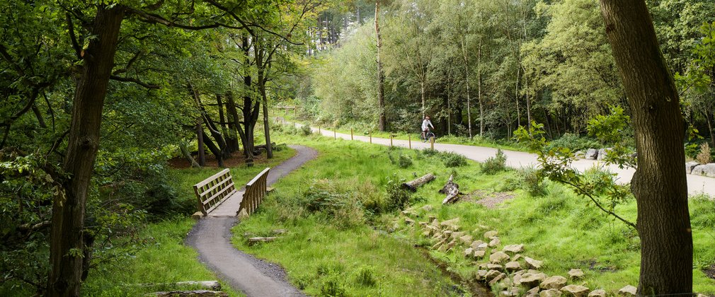 Cannock Chase Forest | Forestry England