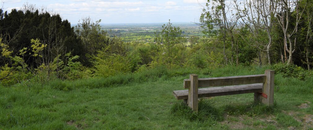 Wendover Woods Membership | Forestry England