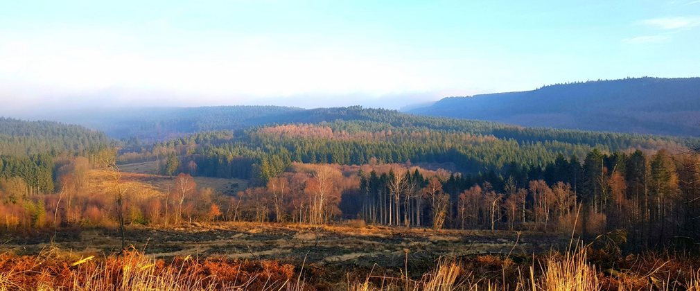 Dalby Forest | Forestry England