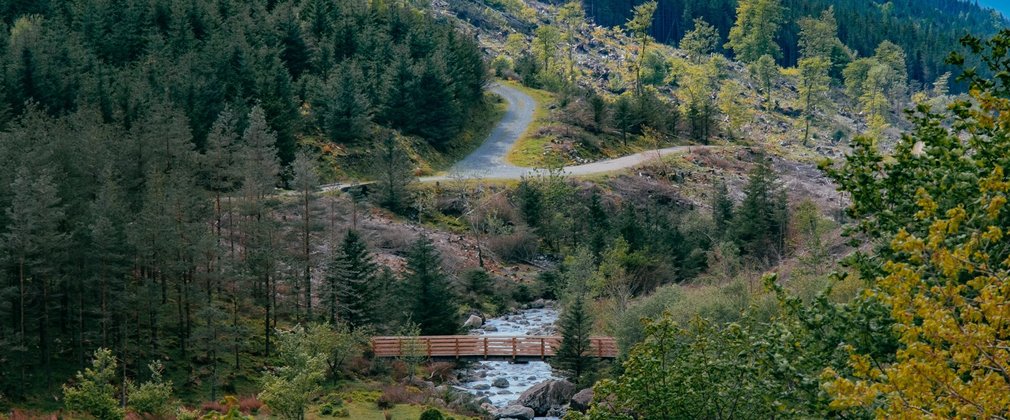 Map skills: KS3 Geography | Forestry England