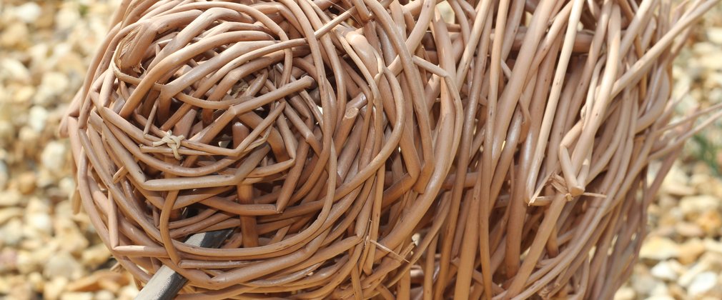 Willow Sculpture Workshop at Westonbirt | Forestry England