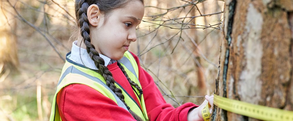How to use fieldwork with your class | Forestry England