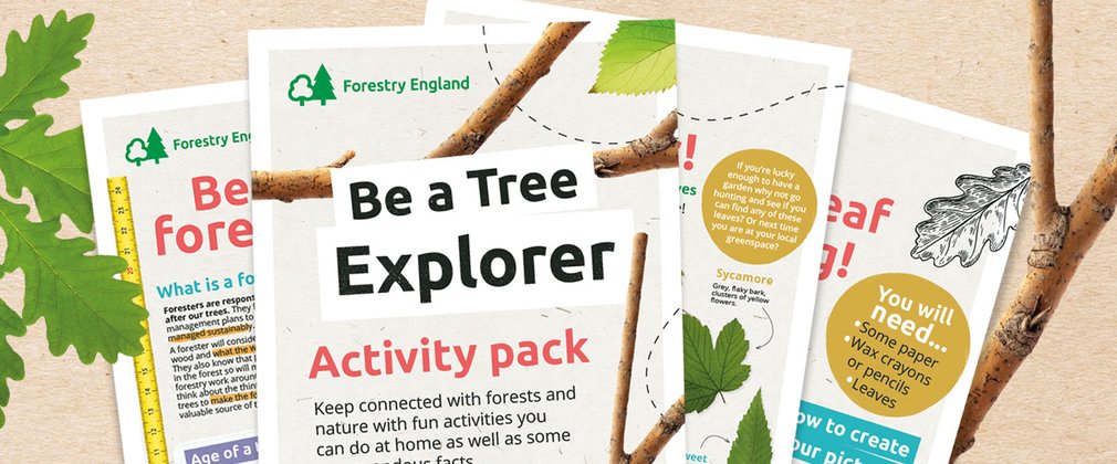 Tree Explorer activity pack | Forestry England