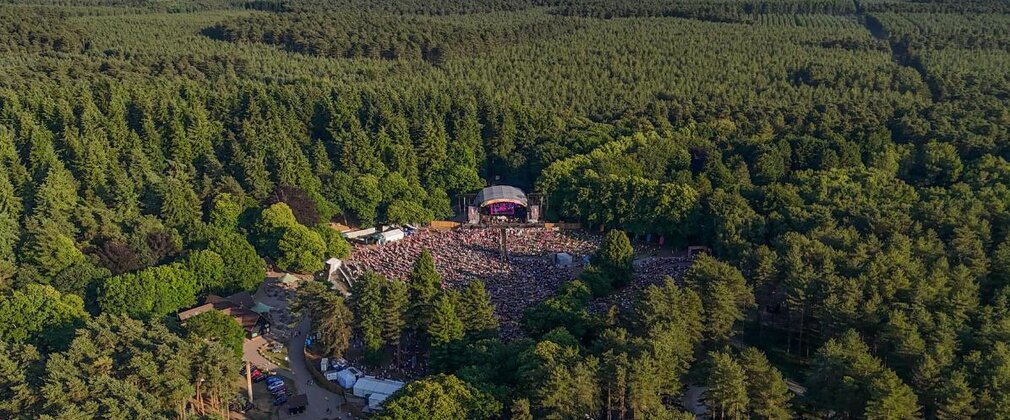 UB40 feat. Ali Campbell at Delamere Forest | Forestry England