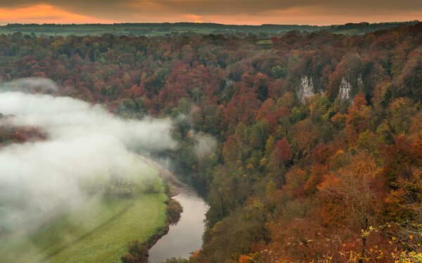 Walking trails at Symonds Yat Rock | Forestry England