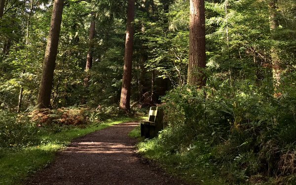 Mortimer Forest | Forestry England