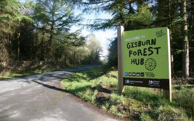 Walking trails at Gisburn | Forestry England