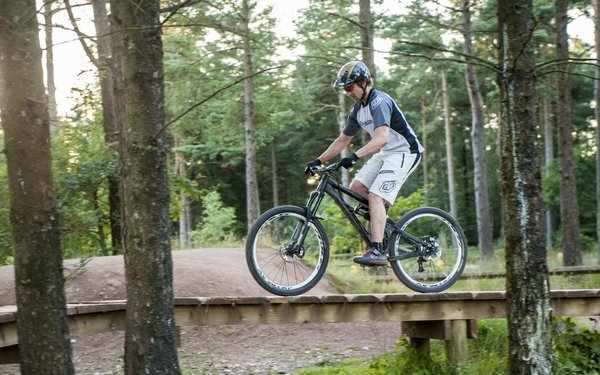 Cycling and mountain biking trails at Haldon Forest Park | Forestry England