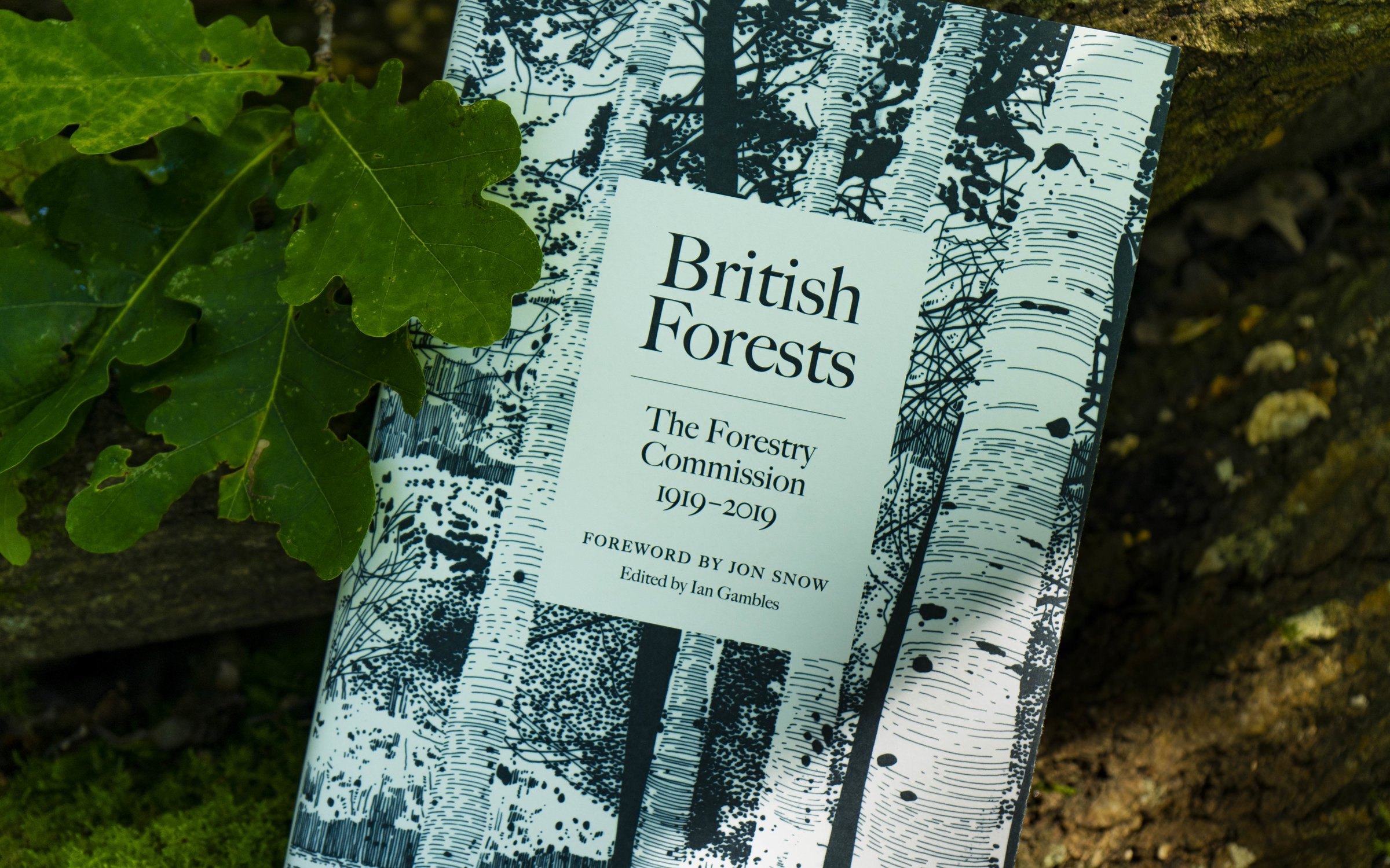 the forestry commission