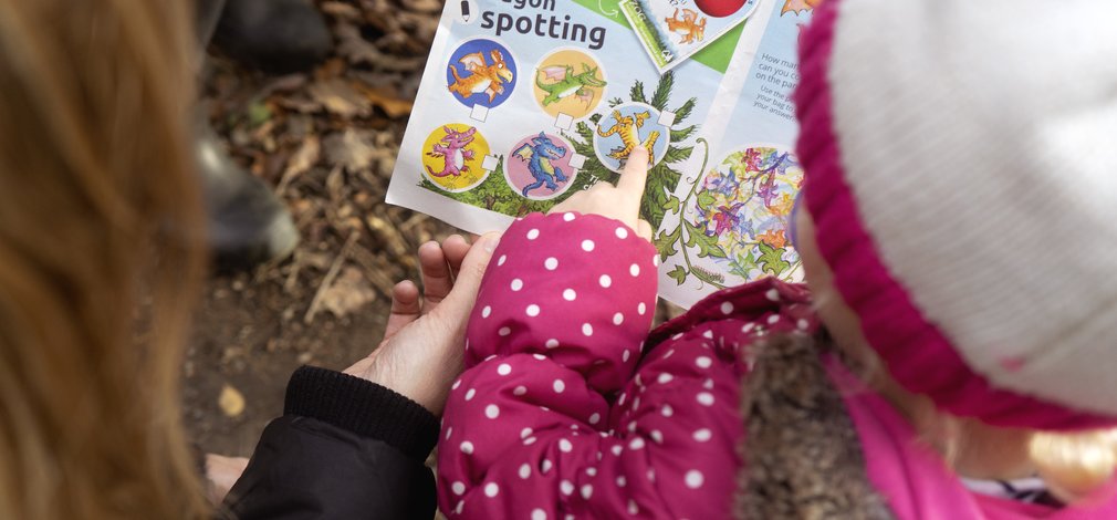 Zog activity trails | Forestry England