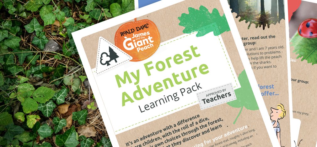 Learning | Forestry England