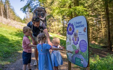 Family fun | Forestry England
