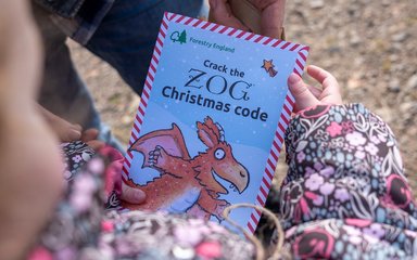 Zog activity trails | A ‘roar-some’ family day out | Forestry England