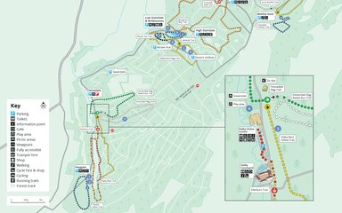 Dalby Forest Arts Programme | Forestry England