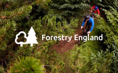 We're changing our name and becoming Forestry England | Forestry England