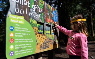 The Gruffalo Party Trail | Forestry England