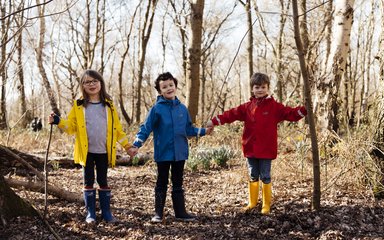 Educational forest visits | Forestry England