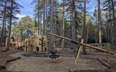 Family fun | Forestry England