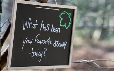 How to use fieldwork with your class | Forestry England